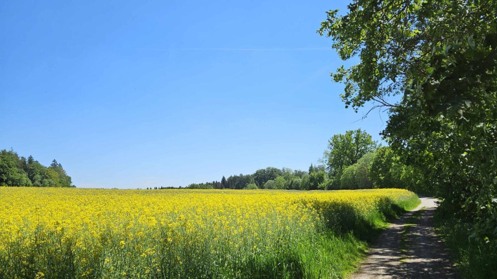 Wanderung zum Jexhof - TSV München-Solln e.V.